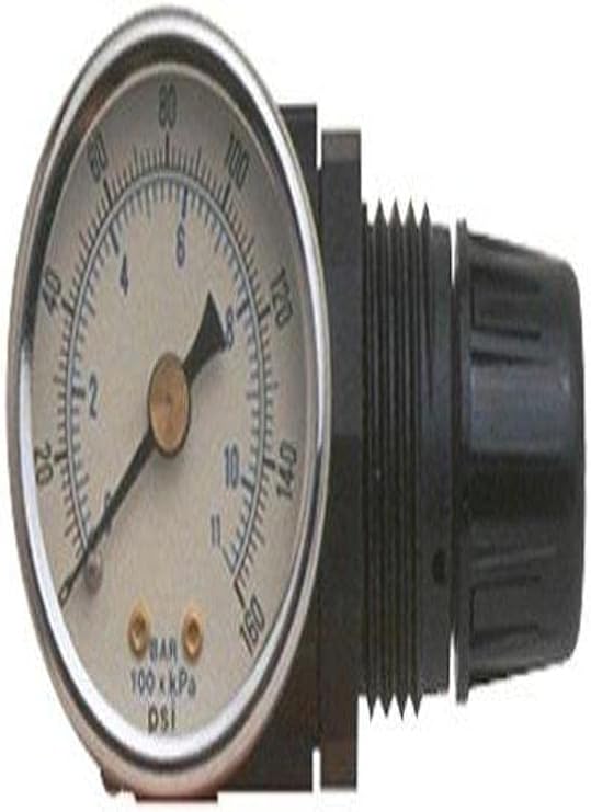 Amazon.com: Motor Guard - R262 Mini Regulator Gauge (RG4049), One Size ...