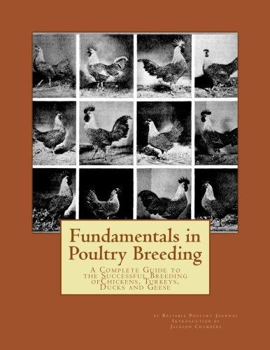 Best Poultry Breeding And Genetics Book 2025 Where to Buy? PoultryTalk.com