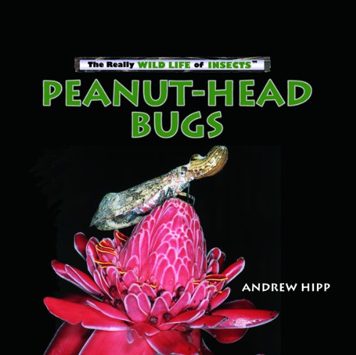 Peanut-Head Bugs (The Really Wild Life of Animals) : Hipp, Andrew ...