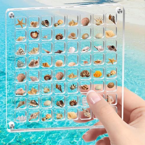 Acrylic Magnetic Seashell Display Box, 64 Grids Acrylic Seashell ...