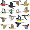 Amazon.com: 16-Pack Flock of Bird Window Clings - Lifelike, Colourful ...