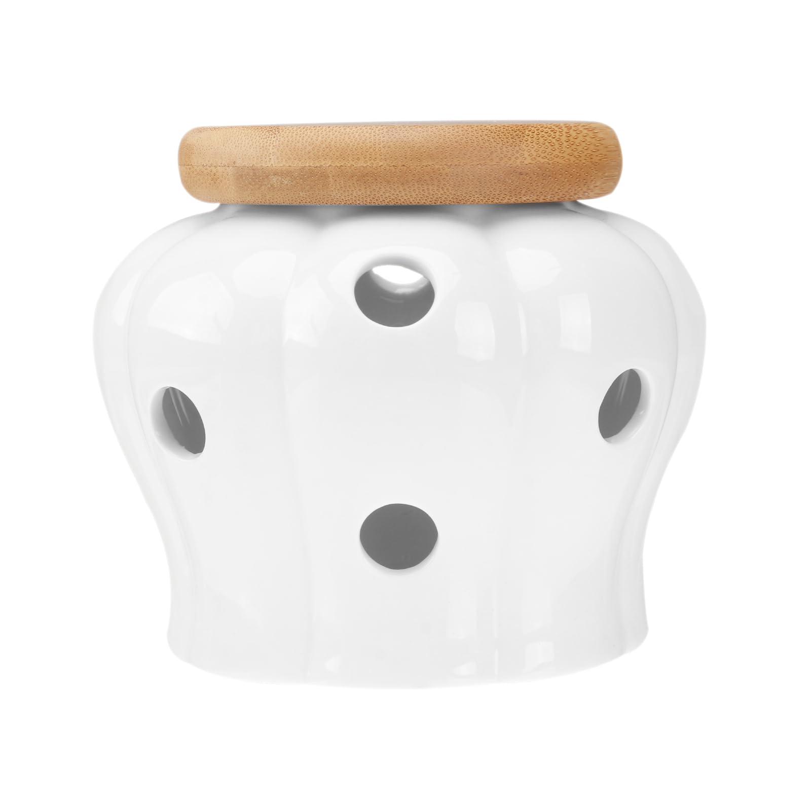 Amazon.com: BESTONZON White Ceramic Canister Jar Container For Food ...