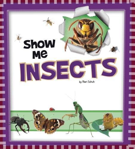Show Me Insects: SCHUH,MARI: 9781474733526: Books - Amazon.ca