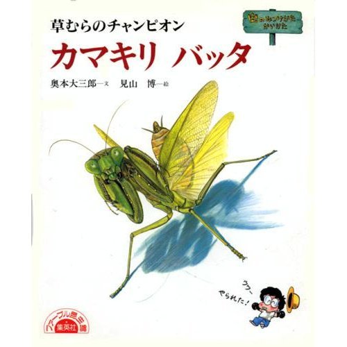 Amazon.com: (- How to put buyers only insect Fabre Insectarium ...