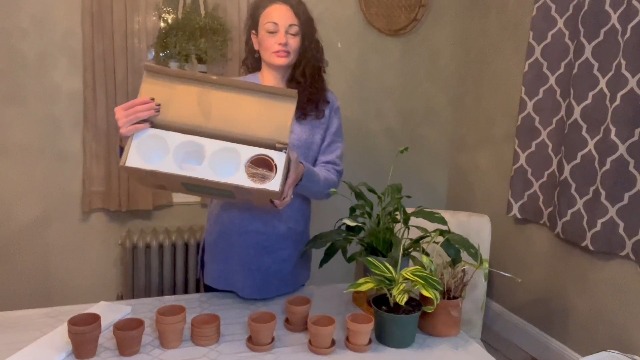 Watch 12 Pack 3 Inch Clay Pot for Plants on Amazon Live
