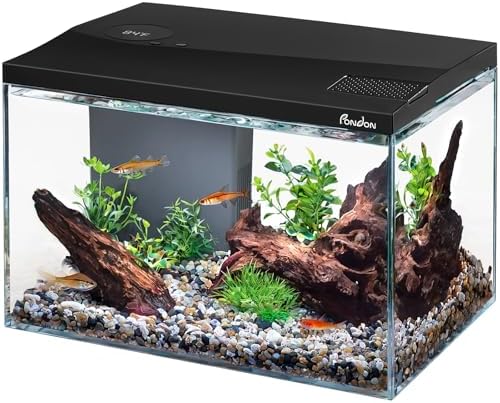 Amazon.com : 5 Gallon Aquarium Fish Tank Starter kit, Including Modular ...