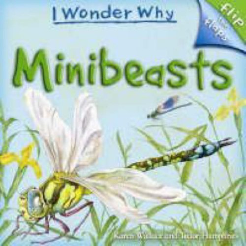 Minibeasts: Wallace, Karen: 9780753416846: Amazon.com: Books