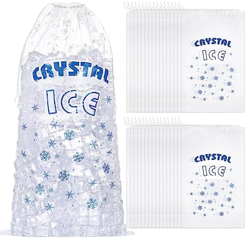 Amazon.com: Honoson 100 Pcs 8 lb Plastic Ice Storage Bag with Cotton ...