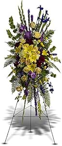 Amazon.com : Teleflora In Loving Memory Spray - Premium Flower ...
