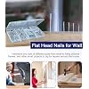 Eujqo Nails for Hanging Pictures Small Nails Picture Hanging Nails ...