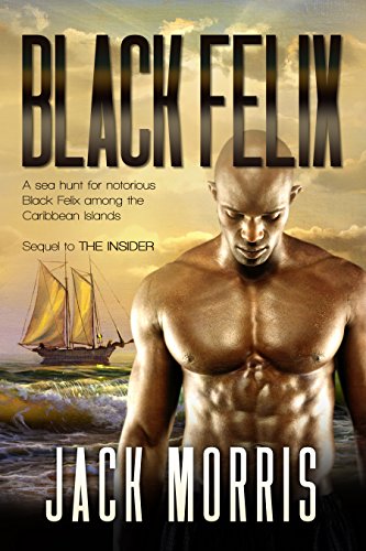 Black Felix - Kindle edition by Morris, Jack. Literature & Fiction ...