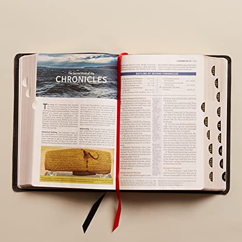Snapklik.com : KJV, The King James Study Bible, Leathersoft, Burgundy ...