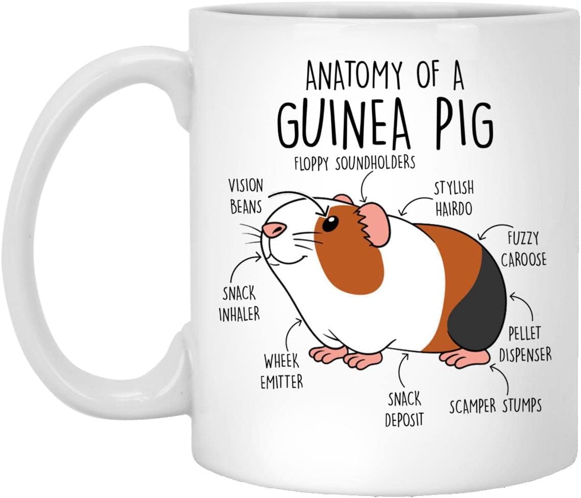 Amazon.com: Guinea Pig Coffee Mug, Funny Guinea Pig Lover Gift, Cavy ...