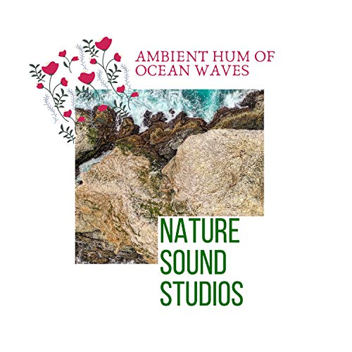 Amazon.com: Nature Sound Studios - Ambient Hum of Ocean Waves : VARIOUS ...