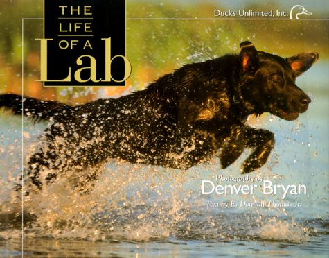 The Life of a Lab: Thomas, Donnall E., Bryan, Denver: 9781572232655 ...