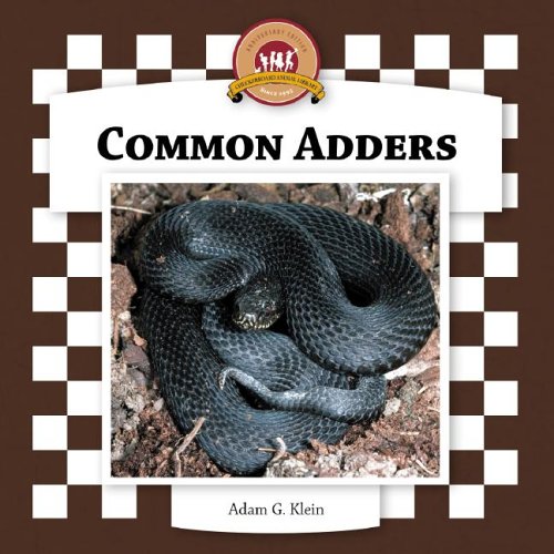 Common Adders: Klein, Adam G.: 9781596792791: Amazon.com: Books