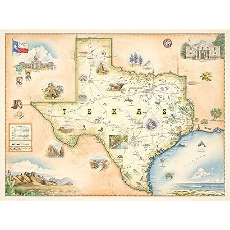 Amazon.com : Cool Owl Maps Texas State Wall Map Poster Rolled ...