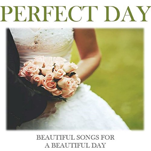 Perfect Day: Beautiful Songs for a Beautiful Day by VARIOUS ARTISTS on ...