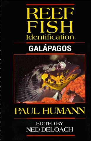 Reef Fish Identification: Galapagos: Paul Humann: 9781878348067: Amazon ...