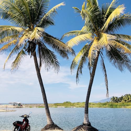 Room 14 by Dan Busby-Beats on Amazon Music - Amazon.com