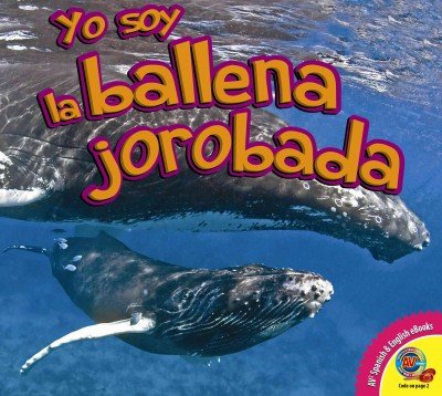 La ballena jorobada / Humpback Whale : Carr, Aaron: Amazon.it: Libri