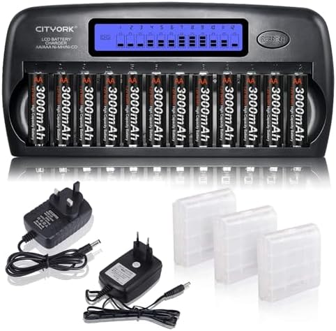 CITYORK 12 Bays LCD Smart Charger Built-in IC Protection, for AA/AAA Ni ...