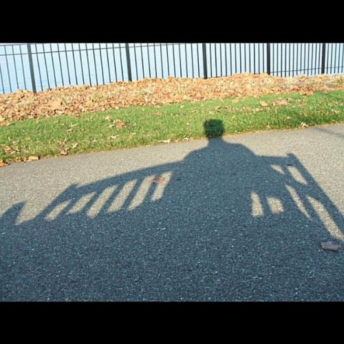 Play William Buda 2009 by William Buda on Amazon Music