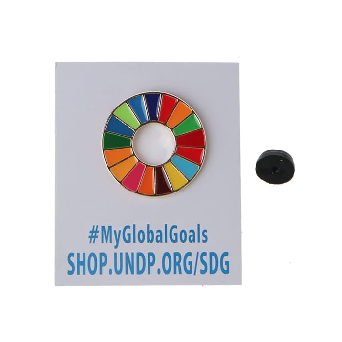 Buy xllLU Sdg Pin - European Sustainable Development Goals Metal Badge ...