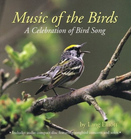 10 Best music for birds