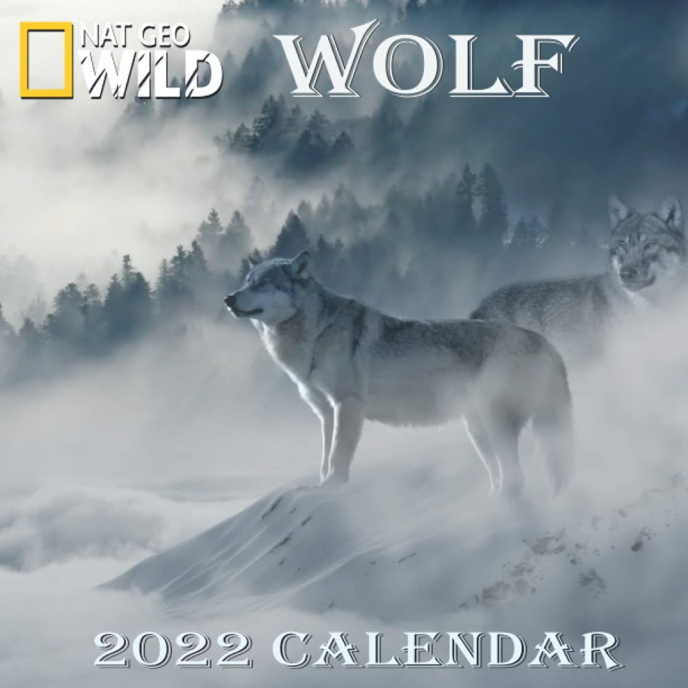 Wolf Calendar 2022 Wolf Calendar 2022 8 5x8 5 Inch | Desertcart INDIA