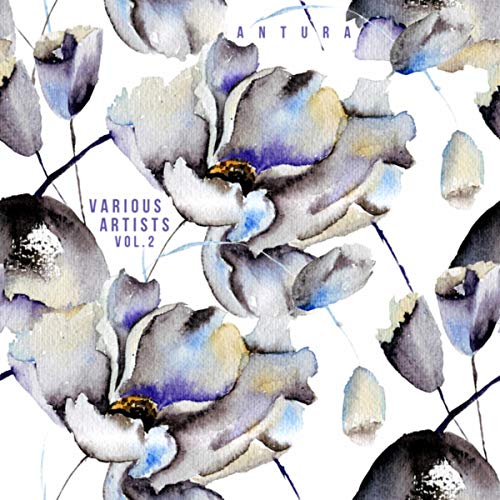 Amazon MusicでVARIOUS ARTISTSのVarious Artists, Vol. 2を再生する