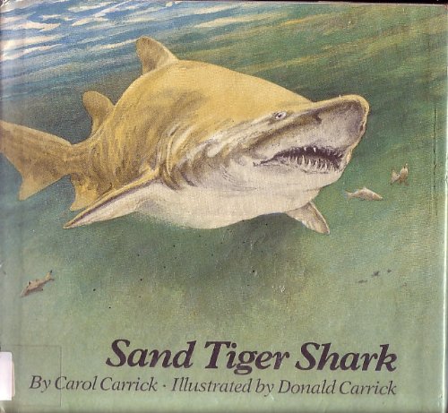 The Sand Tiger Shark: Carol Carrick, Donald Carrick: 9780816431830 ...