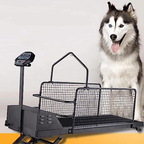 Amazon.com: Large Dog Treadmill for Indoor Exercise, Pet Running ...