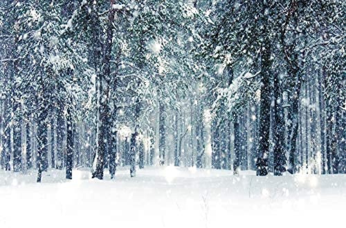 Amazon.com : Yeele 10x8ft Winter Scene Backdrop White Snow Pine Tree ...
