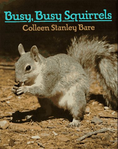 Busy, Busy Squirrels: Bare, Colleen Stanley: 9780525650638: Amazon.com ...