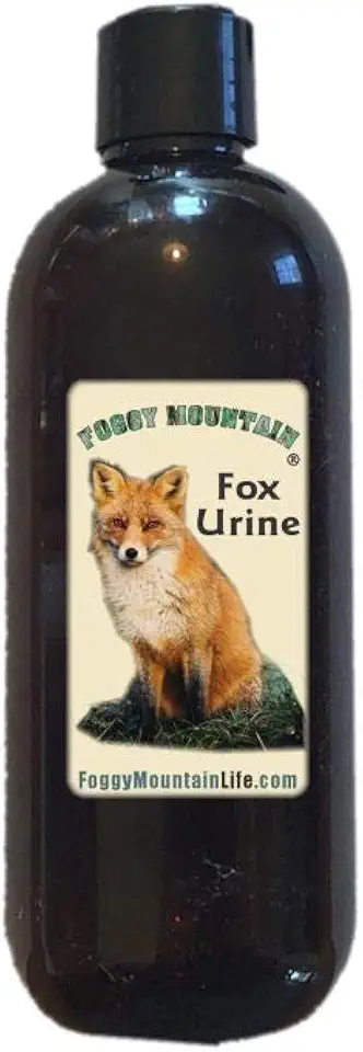 Do Foxes Spray? Unraveling The Mystery Behind Fox Scent Marking | PetShun