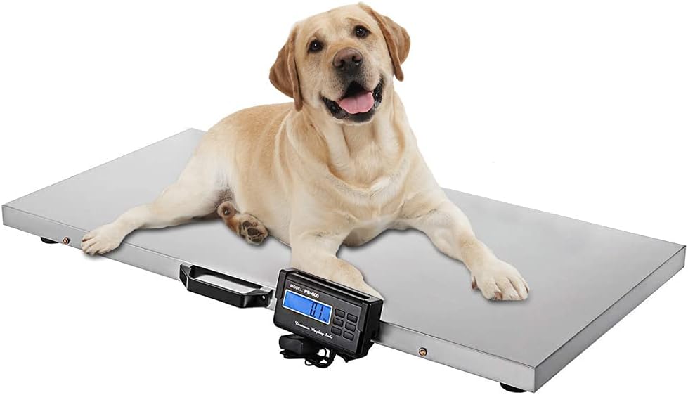 Amazon.com: 1100LB Pet Weight Scale, Livestock Pet Ve-teri-na-ry ...