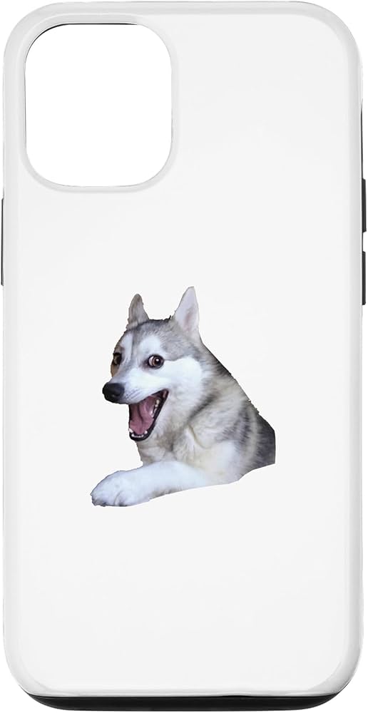 Siberian Husky Pun Memes