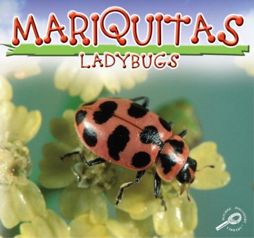 Mariquitas: Ladybugs (Biblioteca Del Descubrimiento De Los Insectos ...