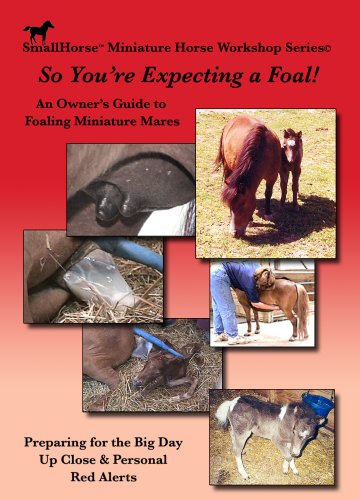 Amazon.com: So You're Expecting a Foal : Jennifer Edds, Toni Leland ...