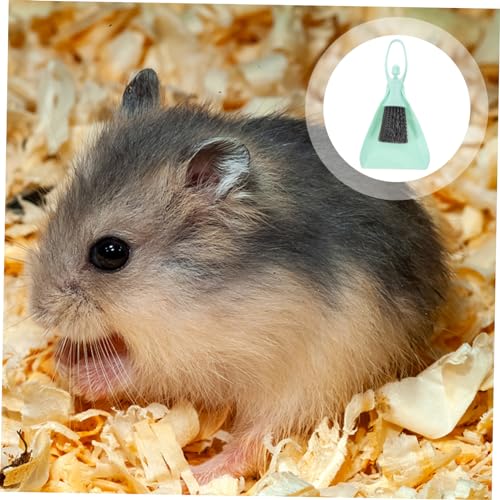 Buying Guide | minkissy 1 Set Hamster Cleaning Tool Plastic Rabbit ...