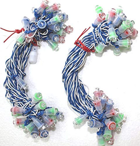 Buy Set of 2 - DESI Rice lights RGB (12 Meter = 40 foot each) Serial ...