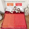 Amazon.com: COZYTY Heated Blanket Electric Blanket King Size, Super ...