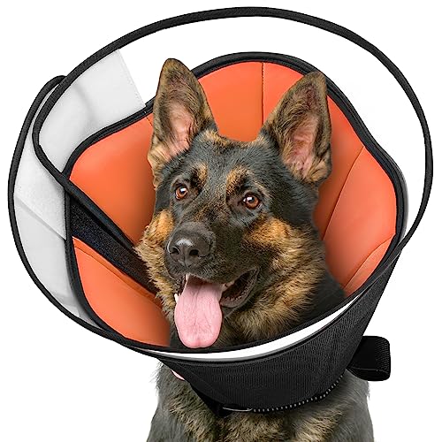 Hondenkegelhalsband – De 15 beste producten vergeleken - Wild uitgelegd