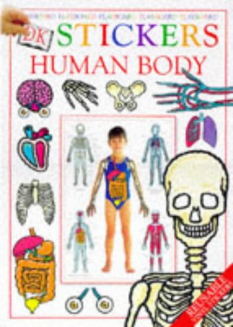 Buy Human Body (Stickers, Playboard S.) Book Online at Low Prices in ...