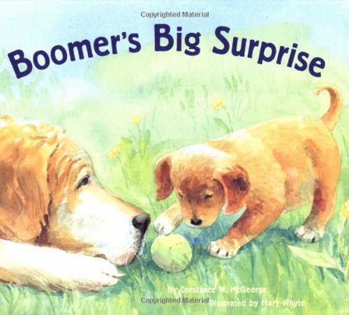 Amazon | Boomer's Big Surprise (Boomer, BOOM) | McGeorge, Constance W ...