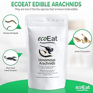 ecoEat Edible Arachnids (3 Insects) - Chinese Centipede, Black Asian ...