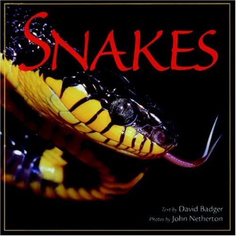 Snakes: David Badger, John Netherton: 9780896584082: Amazon.com: Books