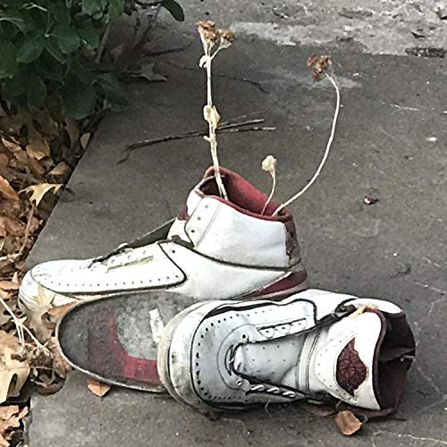 Amazon.com: The Fall : Shawn Rush: Digital Music