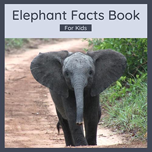 Elephant Facts Book For Kids: 50 Elephant Facts - Kindle edition by ...
